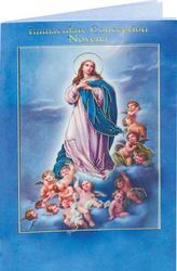 Immaculate Conception Novena – Fidelity Books and Pieties